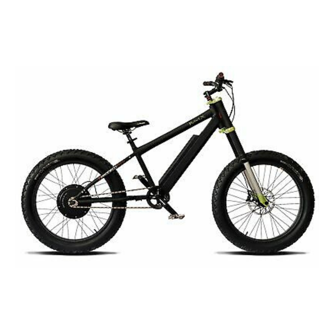 Prodecotech Rebel X Electric Bike – Seagull Powered